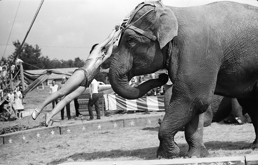 A Grand Spectacle in the Great Outdoors - Shelburne Museum